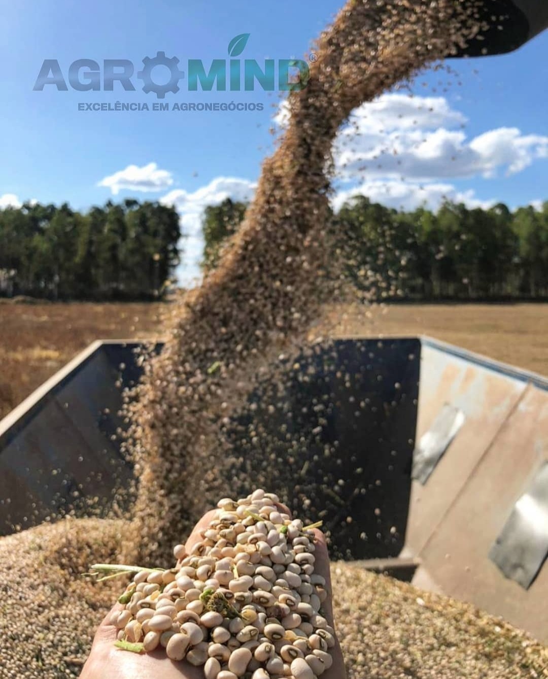 Agromind